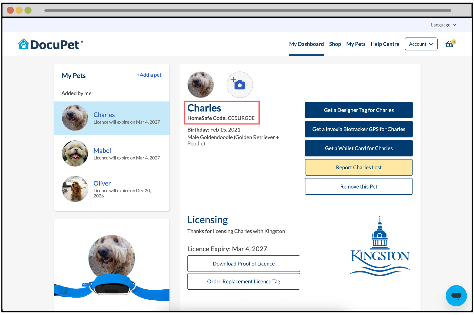 How do I know which tag belongs to each pet? – DocuPet